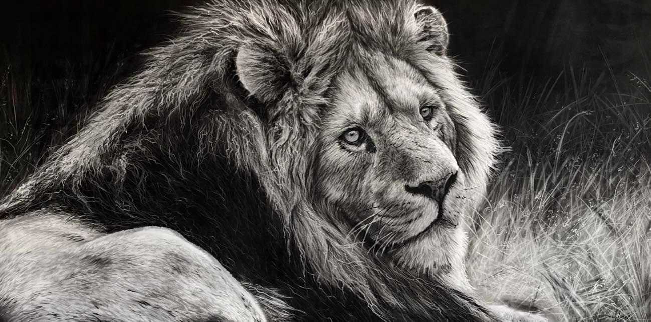 Charcoal Gallery – DANIEL WILSON