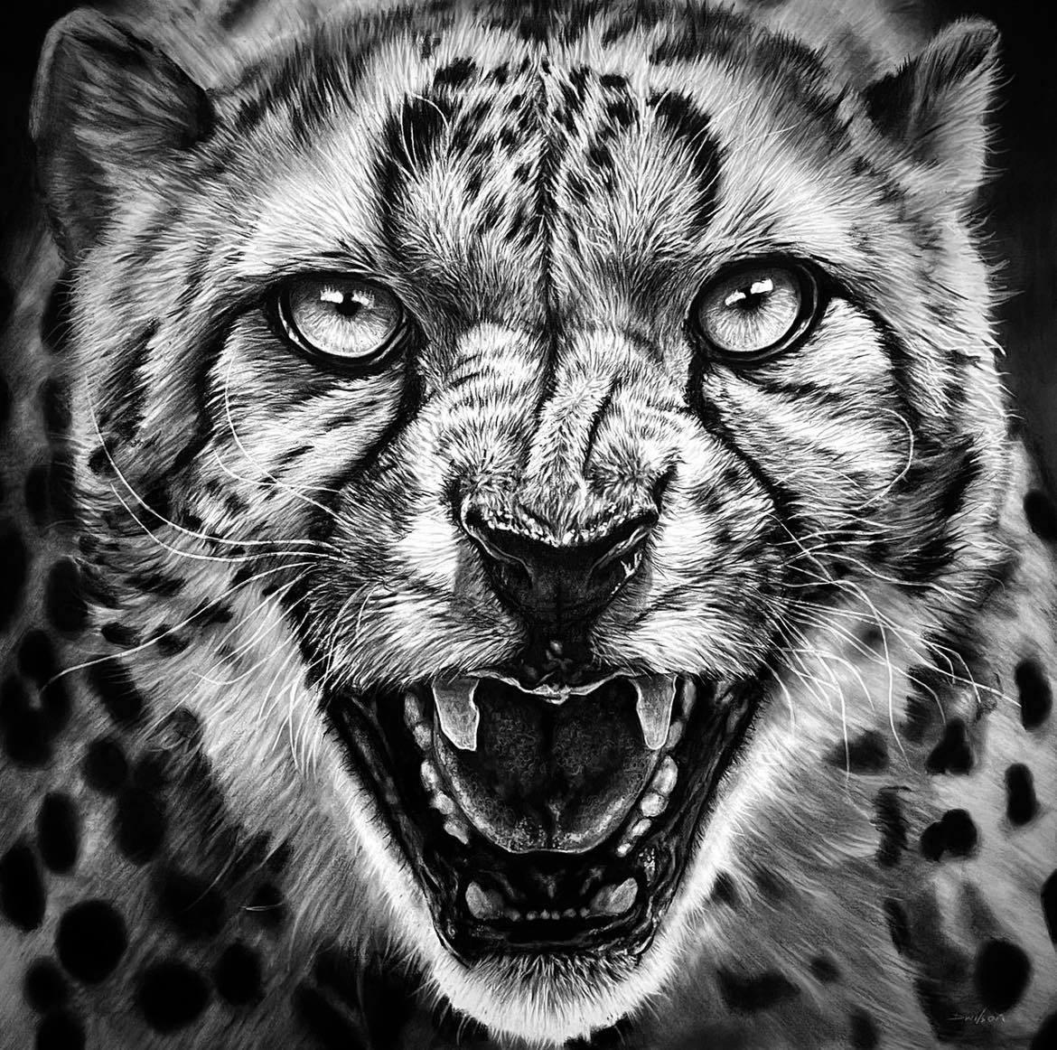 Charcoal Gallery – DANIEL WILSON