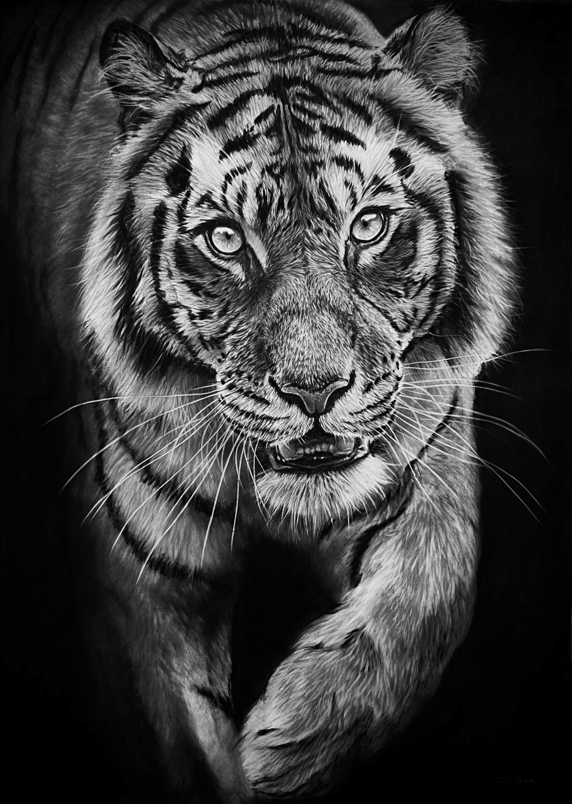 Charcoal Gallery – DANIEL WILSON